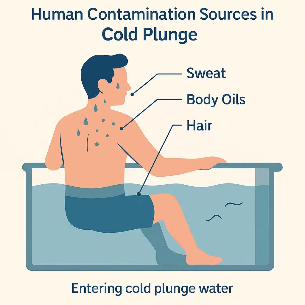 Cold Plunge Water Contamination: Why Filtration Keeps Your Ice Bath Safe